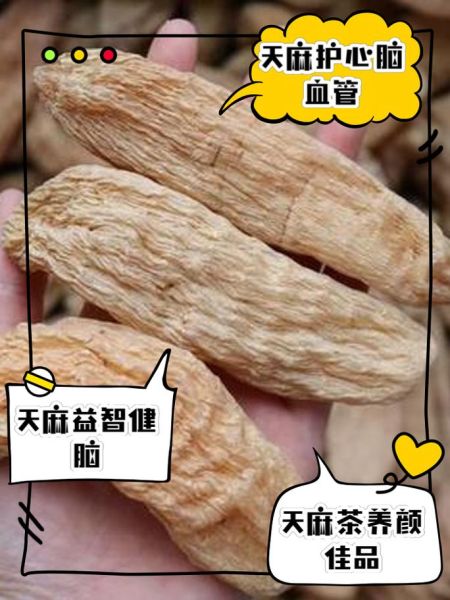 男人吃天麻壮阳吗_天麻对男性性功能有效吗-第3张图片-山城妙识