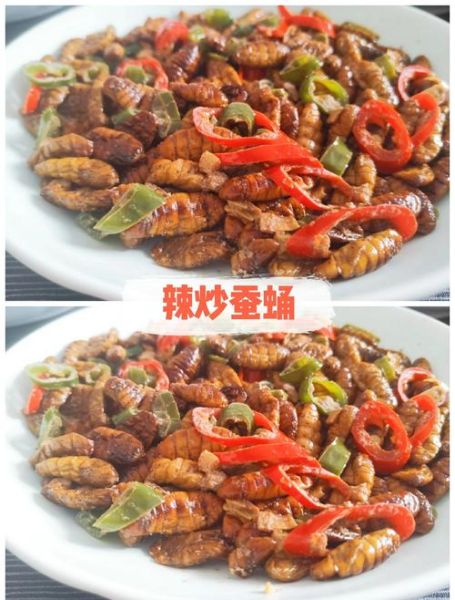 蚕蛹怎么做好吃_水煮蚕蛹的正确做法-第3张图片-山城妙识 蚕蛹怎么做好吃_水煮蚕蛹的正确做法-第3张图片-山城妙识