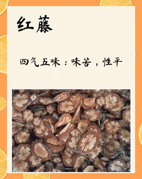 红藤的功效与作用_红藤能治疗哪些疾病-第1张图片-山城妙识 红藤的功效与作用_红藤能治疗哪些疾病-第1张图片-山城妙识