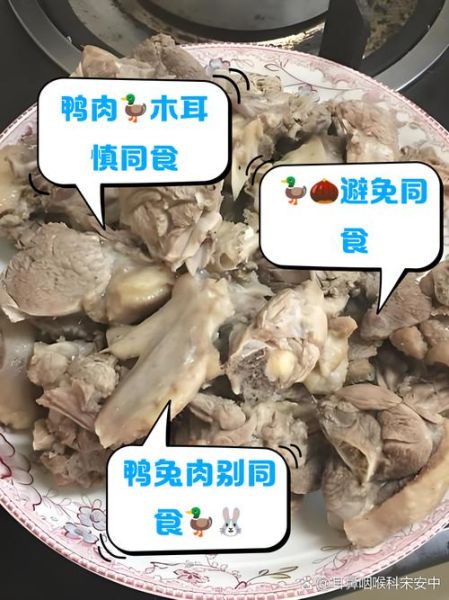 鸭肉和什么相克不能一起吃_鸭肉相克食物有哪些-第1张图片-山城妙识 鸭肉和什么相克不能一起吃_鸭肉相克食物有哪些-第1张图片-山城妙识