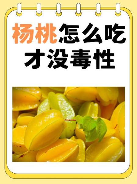 杨桃怎么吃_杨桃食用禁忌-第1张图片-山城妙识