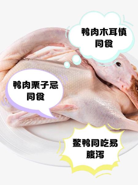 鸭肉和什么相克不能一起吃_鸭肉相克食物有哪些-第3张图片-山城妙识 鸭肉和什么相克不能一起吃_鸭肉相克食物有哪些-第3张图片-山城妙识