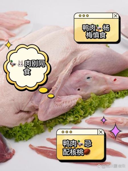 鸭肉和什么相克不能一起吃_鸭肉相克食物有哪些-第2张图片-山城妙识 鸭肉和什么相克不能一起吃_鸭肉相克食物有哪些-第2张图片-山城妙识