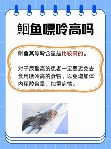 鮰鱼图片大全_鮰鱼高清图库怎么找-第2张图片-山城妙识 鮰鱼图片大全_鮰鱼高清图库怎么找-第2张图片-山城妙识