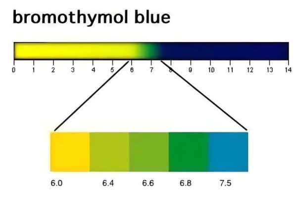 百里香酚蓝指示剂变色范围_如何配置-第1张图片-山城妙识 百里香酚蓝指示剂变色范围_如何配置-第1张图片-山城妙识