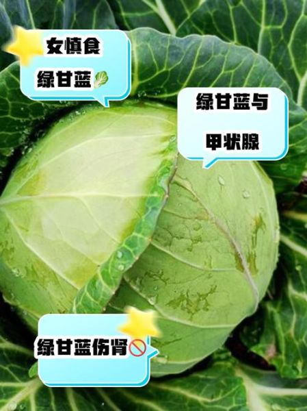 绿甘蓝菜的功效与作用禁忌_哪些人不能吃-第2张图片-山城妙识