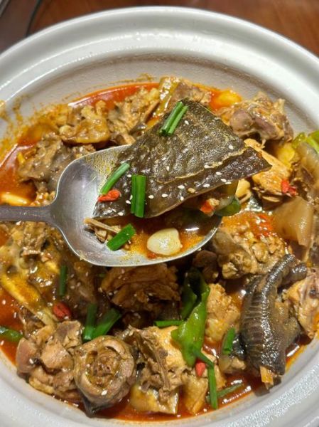 甲鱼怎么做好吃又简单_家常甲鱼汤做法-第1张图片-山城妙识