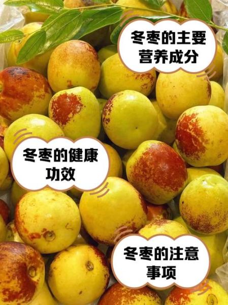 冬枣的功效与作用_冬枣的营养价值高吗-第1张图片-山城妙识