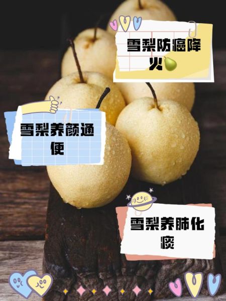 雪梨图片水果_雪梨怎么挑选-第1张图片-山城妙识 雪梨图片水果_雪梨怎么挑选-第1张图片-山城妙识