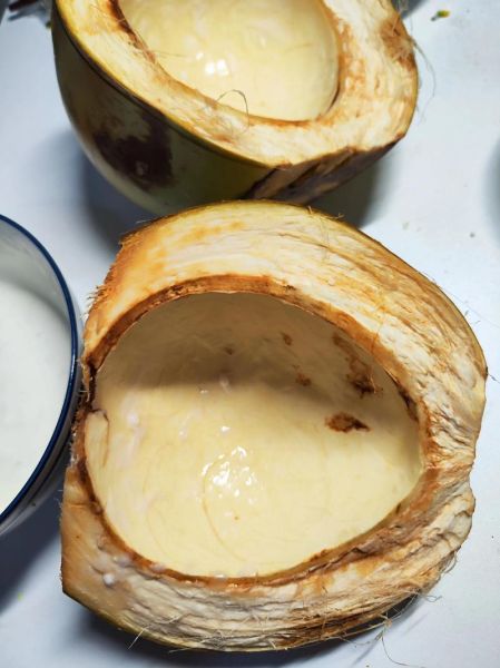 椰子肉怎么吃最好吃_椰子肉做法大全-第1张图片-山城妙识