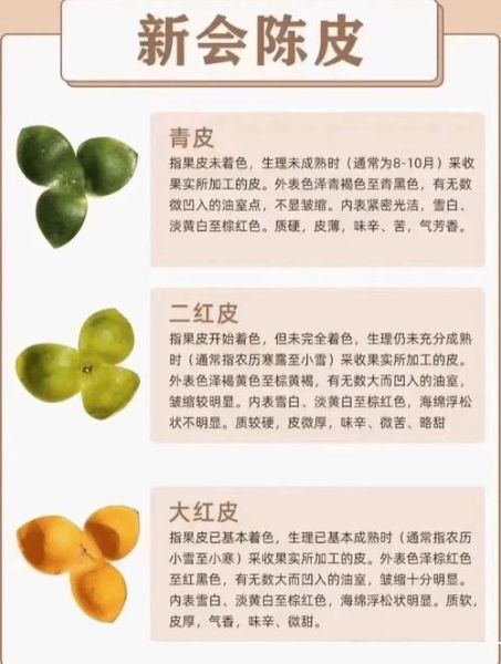 青皮的功效与作用_青皮和陈皮有什么区别-第3张图片-山城妙识