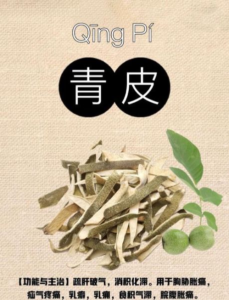 青皮的功效与作用_青皮和陈皮有什么区别-第1张图片-山城妙识