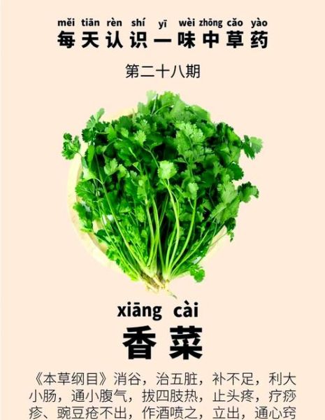 香菜的功效与作用_中医怎么看-第1张图片-山城妙识 香菜的功效与作用_中医怎么看-第1张图片-山城妙识