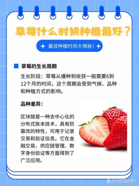 草莓什么时候种植最好_草莓最佳种植时间-第1张图片-山城妙识