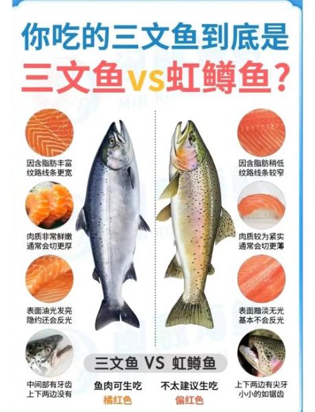 红鳟鱼和三文鱼的区别_红鳟鱼能不能生吃-第1张图片-山城妙识 红鳟鱼和三文鱼的区别_红鳟鱼能不能生吃-第1张图片-山城妙识