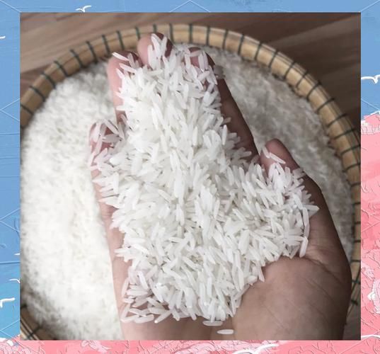 转基因大米有哪些_安全吗-第2张图片-山城妙识 转基因大米有哪些_安全吗-第2张图片-山城妙识