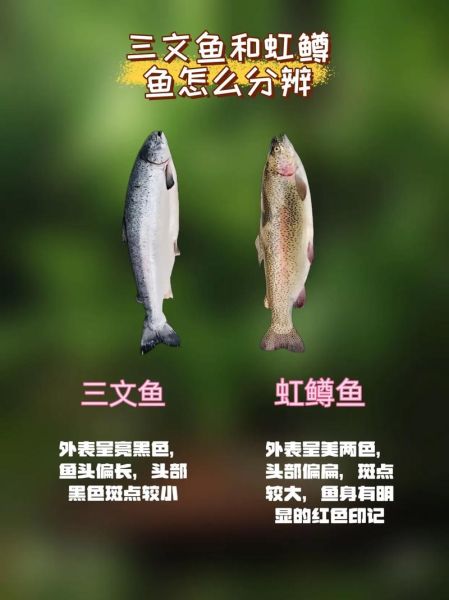 红鳟鱼和三文鱼的区别_红鳟鱼能不能生吃-第3张图片-山城妙识 红鳟鱼和三文鱼的区别_红鳟鱼能不能生吃-第3张图片-山城妙识