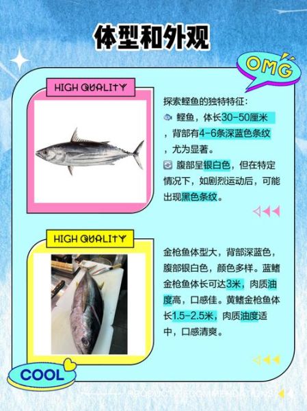鲣鱼种类有哪些_鲣鱼与金枪鱼区别-第1张图片-山城妙识