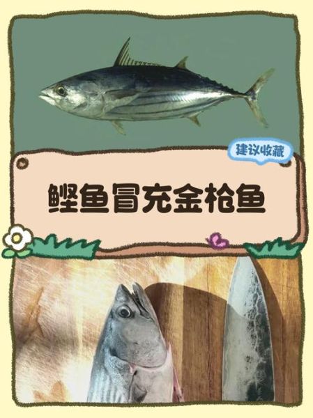 鲣鱼种类有哪些_鲣鱼与金枪鱼区别-第2张图片-山城妙识