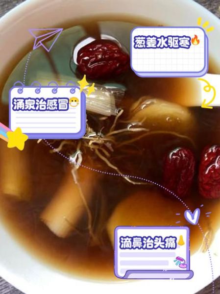 中国食疗大全在线阅读_食疗真的能治病吗-第2张图片-山城妙识