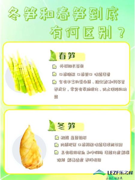 笋的种类有哪些_春笋和冬笋区别-第1张图片-山城妙识 笋的种类有哪些_春笋和冬笋区别-第1张图片-山城妙识