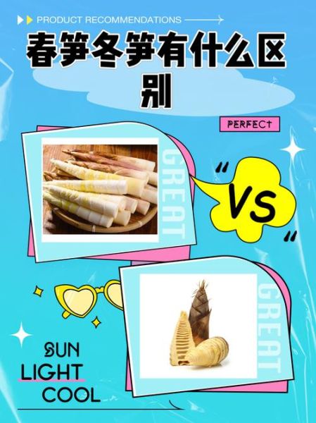 笋的种类有哪些_春笋和冬笋区别-第2张图片-山城妙识 笋的种类有哪些_春笋和冬笋区别-第2张图片-山城妙识