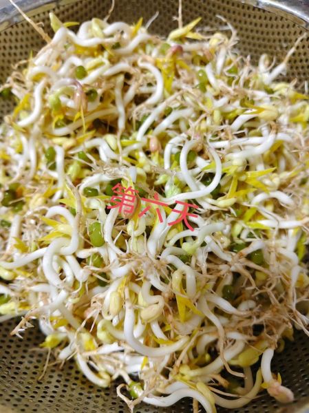 生豆芽菜的方法_生豆芽菜怎么发最快-第1张图片-山城妙识 生豆芽菜的方法_生豆芽菜怎么发最快-第1张图片-山城妙识