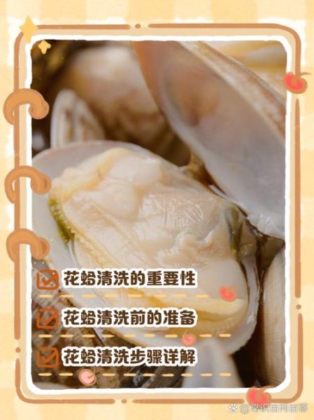 花蛤怎么去沙子更干净_花蛤吐沙最快的方法-第1张图片-山城妙识 花蛤怎么去沙子更干净_花蛤吐沙最快的方法-第1张图片-山城妙识