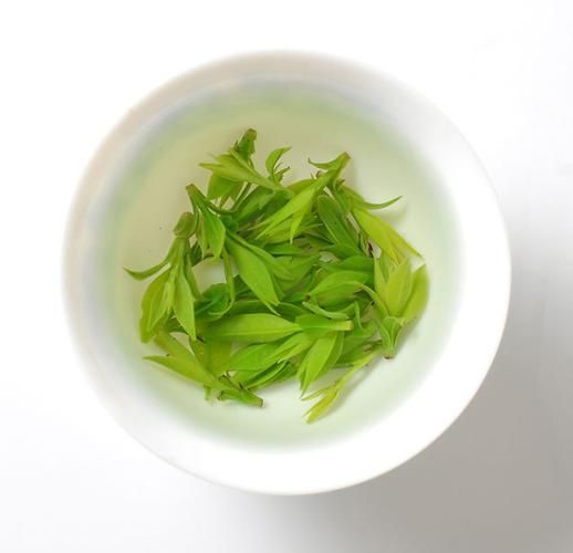 余庆小叶苦丁茶喝死人是真的吗_中毒原因深度解析-第3张图片-山城妙识 余庆小叶苦丁茶喝死人是真的吗_中毒原因深度解析-第3张图片-山城妙识