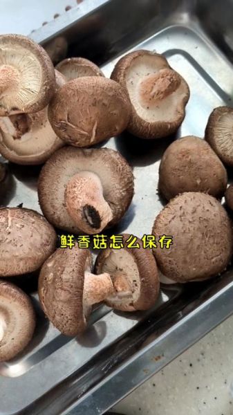 鲜香菇怎么保存_鲜香菇图片怎么拍才好看-第1张图片-山城妙识
