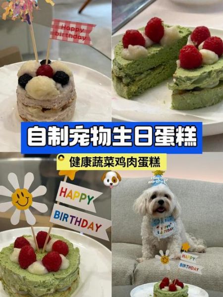 宠物蛋糕怎么做_狗狗生日蛋糕配方-第1张图片-山城妙识