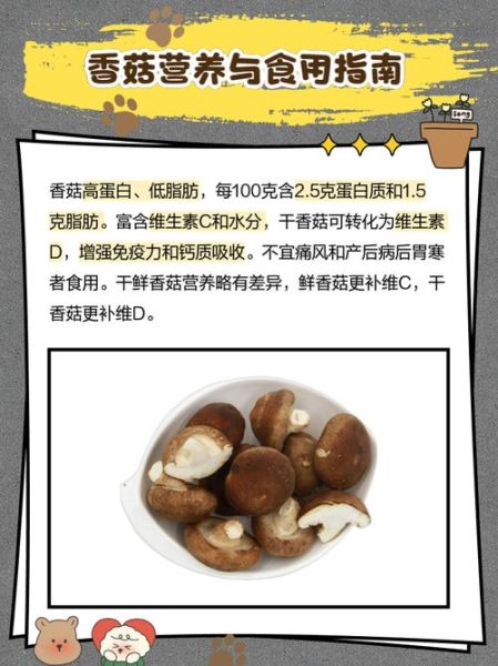 鲜香菇怎么保存_鲜香菇图片怎么拍才好看-第3张图片-山城妙识