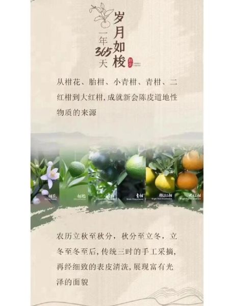 陈皮制作工艺流程_如何在家自制新会陈皮-第2张图片-山城妙识