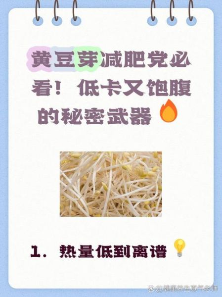 豆芽热量是多少_减肥可以吃豆芽吗-第1张图片-山城妙识 豆芽热量是多少_减肥可以吃豆芽吗-第1张图片-山城妙识