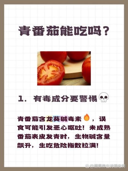 青番茄能吃吗_青番茄有毒吗-第1张图片-山城妙识