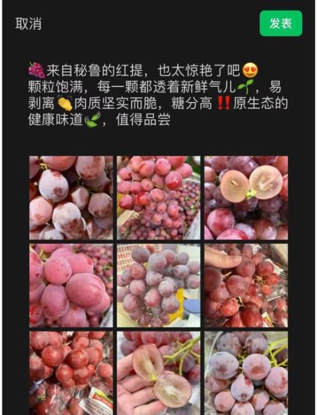 葡萄和红提哪个营养好_红提和葡萄营养价值对比-第3张图片-山城妙识