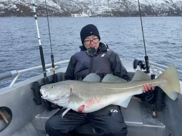 鳕鱼图片高清_如何挑选新鲜鳕鱼-第3张图片-山城妙识 鳕鱼图片高清_如何挑选新鲜鳕鱼-第3张图片-山城妙识