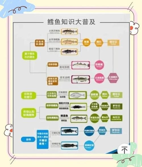 鳕鱼图片高清_如何挑选新鲜鳕鱼-第1张图片-山城妙识 鳕鱼图片高清_如何挑选新鲜鳕鱼-第1张图片-山城妙识
