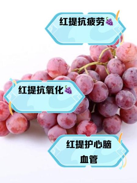 葡萄和红提哪个营养好_红提和葡萄营养价值对比-第2张图片-山城妙识