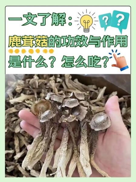 鹿茸的功效与作用有哪些_鹿茸怎么吃效果最好-第1张图片-山城妙识