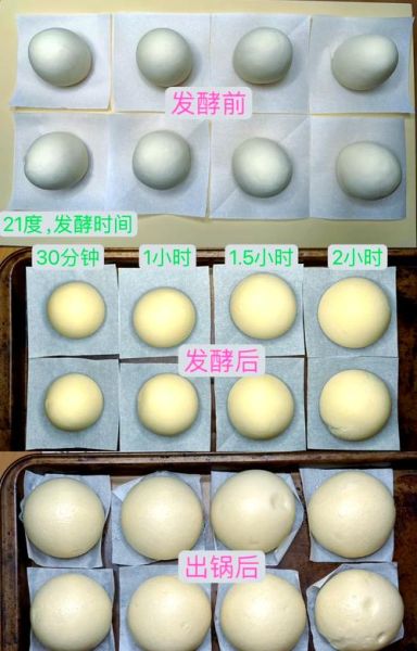 蒸馒头怎么做_蒸馒头需要多长时间-第3张图片-山城妙识
