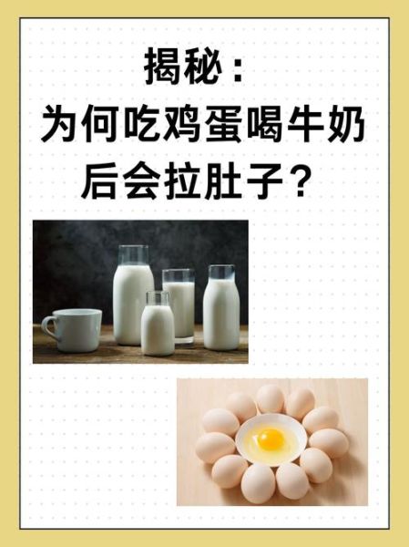 长期早上吃鸡蛋喝牛奶好吗_长期早上吃鸡蛋喝牛奶会胖吗-第2张图片-山城妙识 长期早上吃鸡蛋喝牛奶好吗_长期早上吃鸡蛋喝牛奶会胖吗-第2张图片-山城妙识