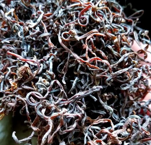 薇菜长什么样_薇菜和蕨菜的区别-第2张图片-山城妙识 薇菜长什么样_薇菜和蕨菜的区别-第2张图片-山城妙识