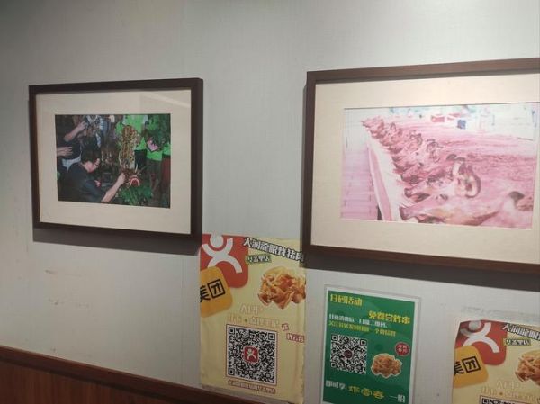 龙眼肉的做法大全_龙眼肉怎么做好吃-第2张图片-山城妙识 龙眼肉的做法大全_龙眼肉怎么做好吃-第2张图片-山城妙识