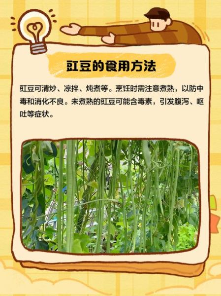 豇豆的营养价值与功效_豇豆怎么吃最健康-第3张图片-山城妙识 豇豆的营养价值与功效_豇豆怎么吃最健康-第3张图片-山城妙识