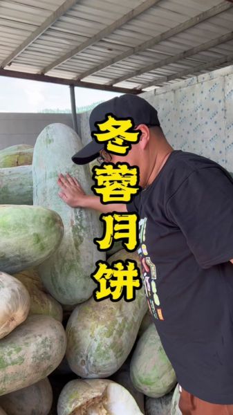 月饼馅是冬瓜做的吗_冬瓜月饼馅真相-第1张图片-山城妙识 月饼馅是冬瓜做的吗_冬瓜月饼馅真相-第1张图片-山城妙识