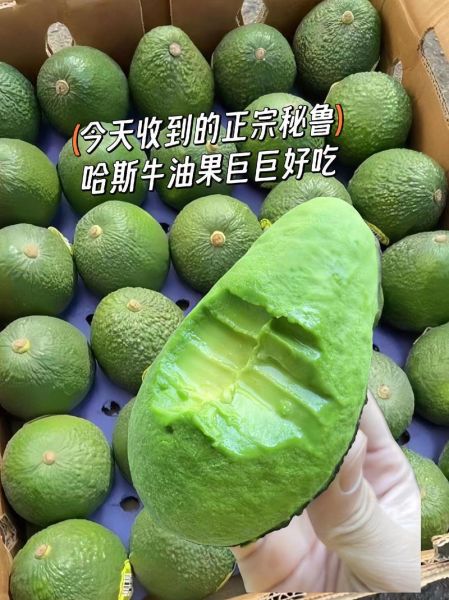 鳄梨和牛油果的区别_哪个营养价值更高-第3张图片-山城妙识