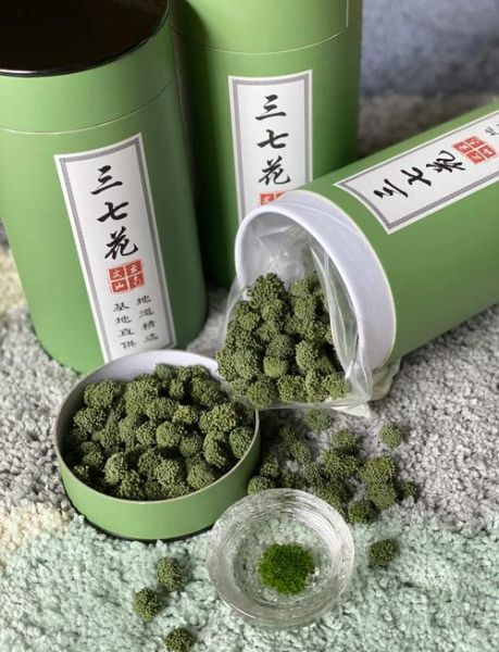 田七花图片_田七花长什么样-第1张图片-山城妙识 田七花图片_田七花长什么样-第1张图片-山城妙识