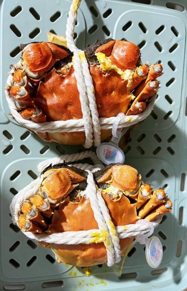 苏州大闸蟹什么时候上市_上市时间一般几月-第1张图片-山城妙识