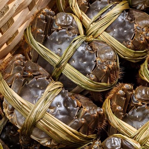 苏州大闸蟹什么时候上市_上市时间一般几月-第3张图片-山城妙识